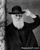 FARK.com: (7310630) Paging Mr Darwin. Mr Charles Darwin, please pick up ...